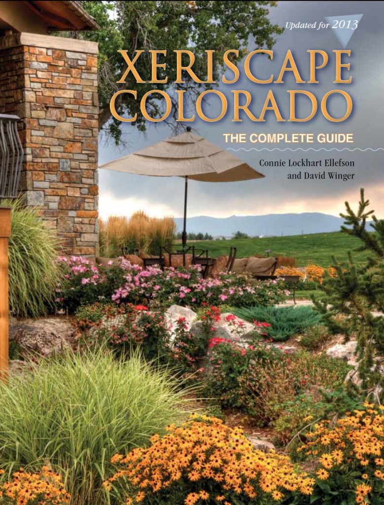 Denver Xeriscape Landscape Design | Colorado Xeriscape Design and ...